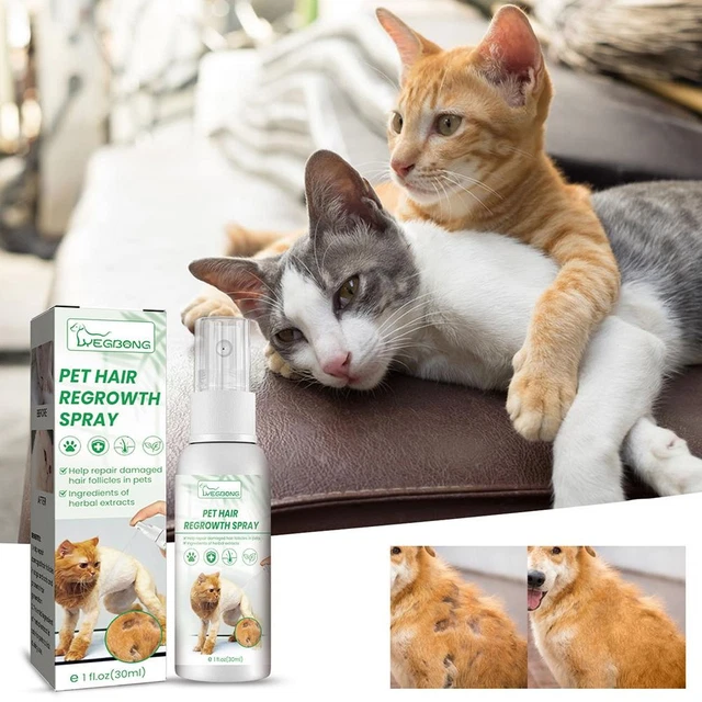 DOGS CATS HAIR Regrowth Spray Pet Hair Loss TreatmentsPromote Furs ...