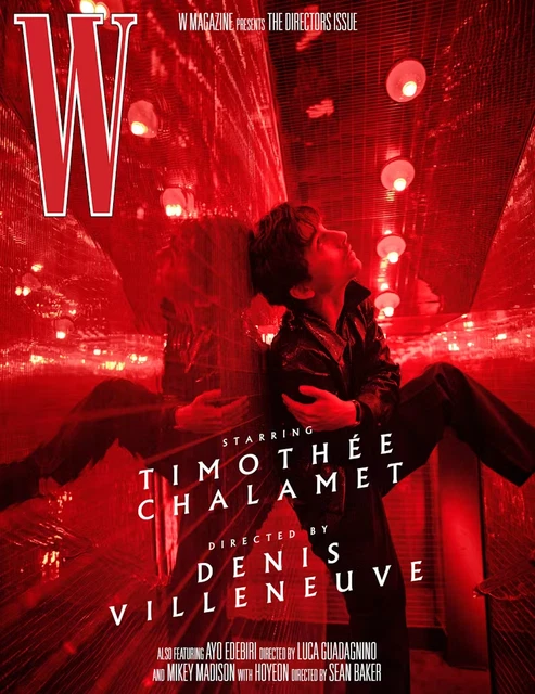 BN W MAGAZINE Vol 2 2025 Timothee Chalamet £19.34 - PicClick UK