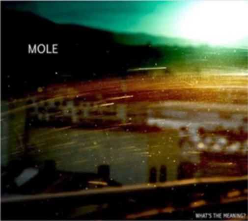 MOLÈ WHAT'S THE Meaning? (CD) Album EUR 20,69 - PicClick FR