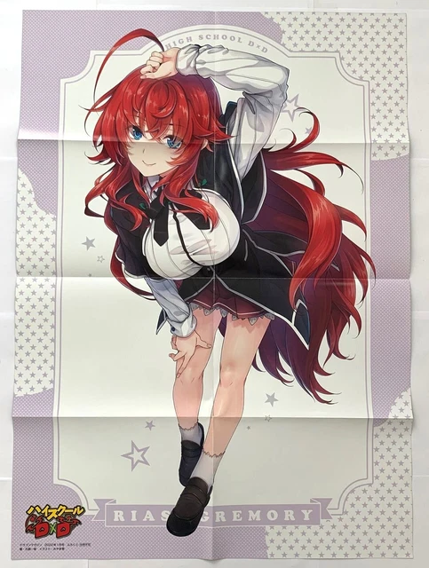 HIGH SCHOOL DXD RIAS GREMORY Yoshino Nanjo grande affiche double face ...