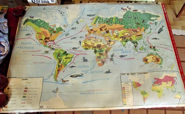 OLD MAP SCHOOL Poster Mdi 1960 World Map World Animals Lion Elephant ...