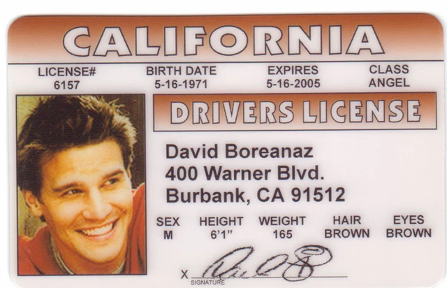 ANGEL ACTOR ID card Drivers License for Buffy the Vampire Slayer fans £ ...