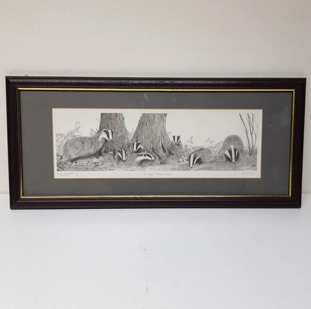 VINTAGE BRITISH WILDLIFE Nigel Wallace Badger (Meles Meles) Framed ...