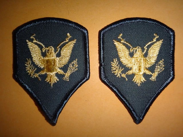 PAIO DI US Army Specialista 3rd Classe Stinto Galloni Never Worn EUR 7 ...