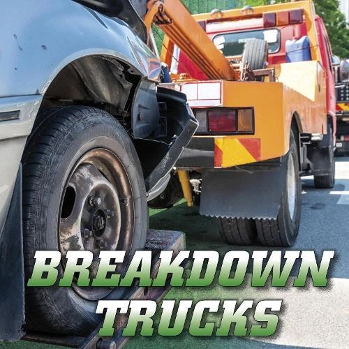 NANCY DICKMANN BREAKDOWN Trucks (Relié) Wild About Wheels EUR 14,31 ...