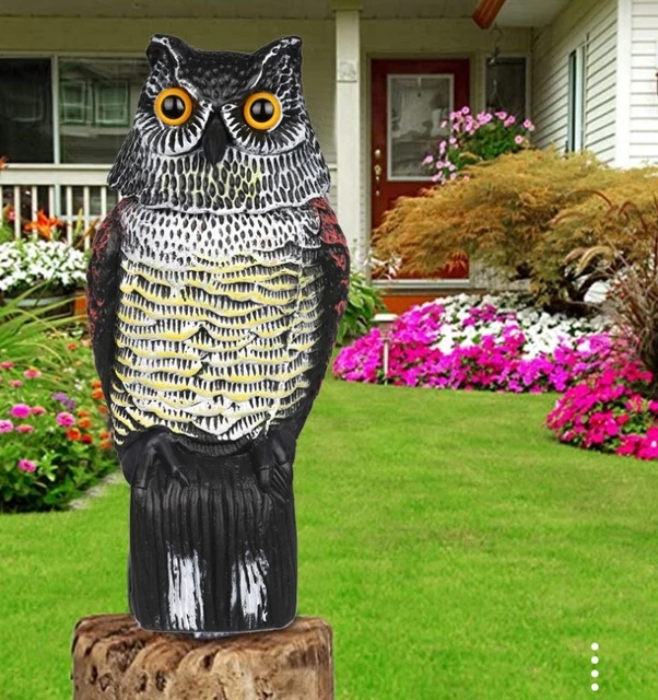 LARGE REALISTIC OWL Decoy Deterrent Bird Pigeon Rodents Crow Scare ...