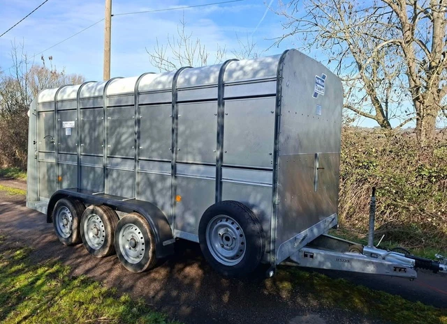 IFOR WILLIAMS TA510 Tri Axle Livestock Cattle Trailer Ready For Work! £ ...