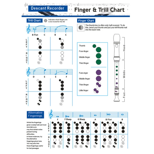 FLUTE CHORD CHART Chord Chart For Students Clarinet Chord Learning ...