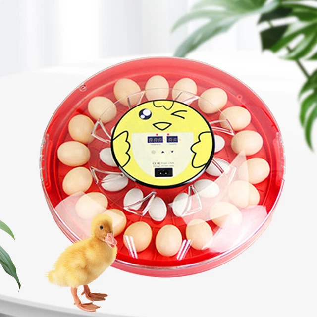 30 EGGS DIGITAL Incubator Fully Automatic Breeding Machine Breeding ...