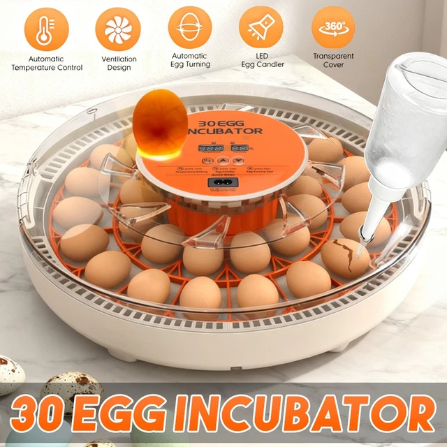 30 PC EGG Digital LED Egg Incubator Fully Automatic Turning Chicken ...