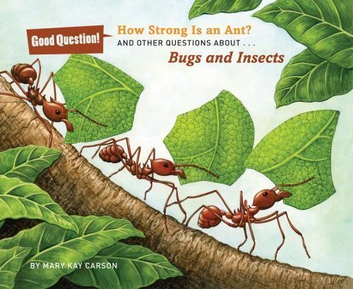HOW STRONG IS an Ant?: And Other Questions About... Bugs and Insects £5 ...