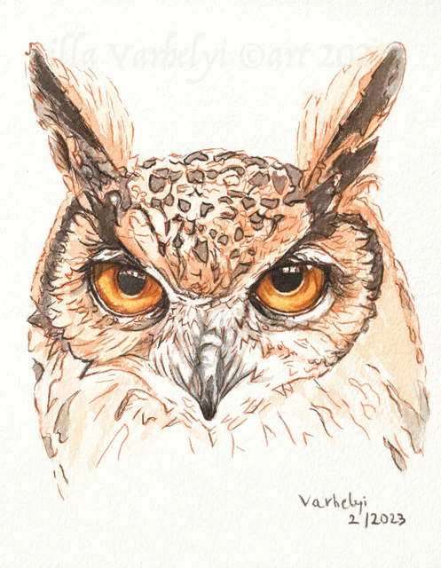 ORIGINAL TUSCHEZEICHNUNG INKDRAWING Eule Uhu Owl Unikat Signiert Lilla ...