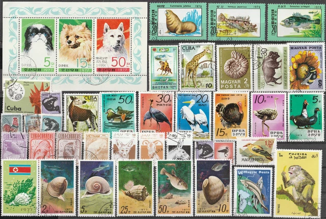 LOTTO ANIMALI CON blocco a tema: animali animali животные animali ...