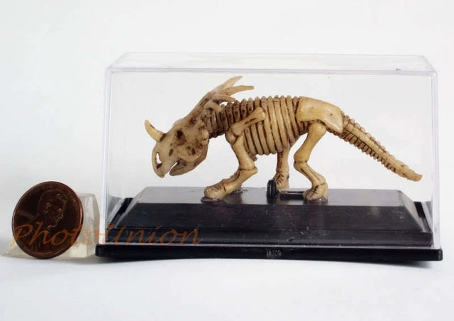 JURASSIC MUSEUM DINOSAUR Fossil Bone Styracosaurus Skeleton Stand Model ...