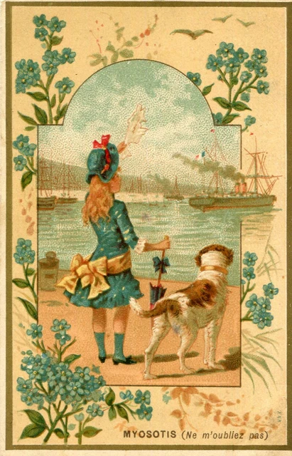 CARTE BON POINT scolaire Ecole Dos signé institutrice Illustré Myosotis ...