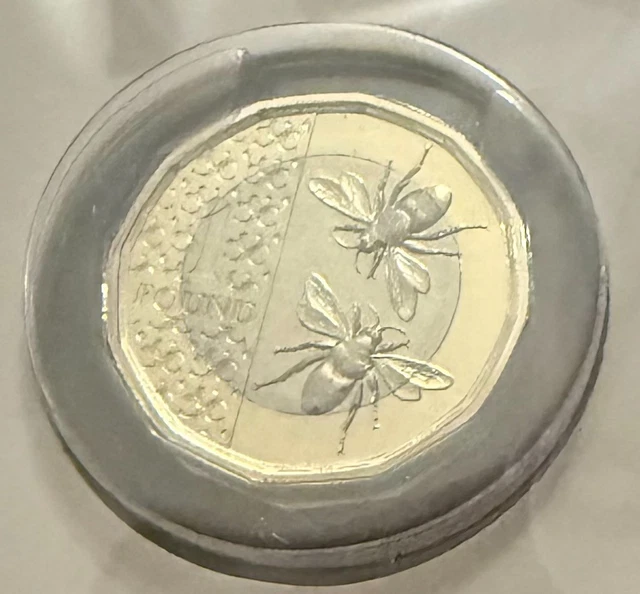 2026 ROYAL MINT Strike Your Own King Charles III Bee UK One Pound Coin ...