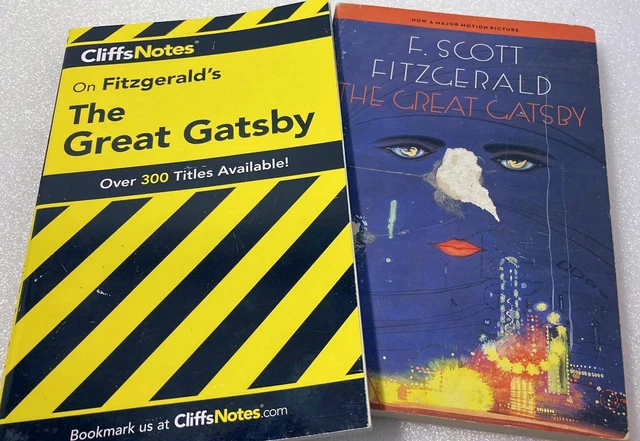 THE GREAT GATSBY F Scott Fitzgerald with Cliff Notes for Study $10.99 ...