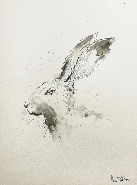 ORIGINAL 'HARE' A4 Size Pen & Ink Sketch By Ray Statter (NOT A PRINT) £ ...
