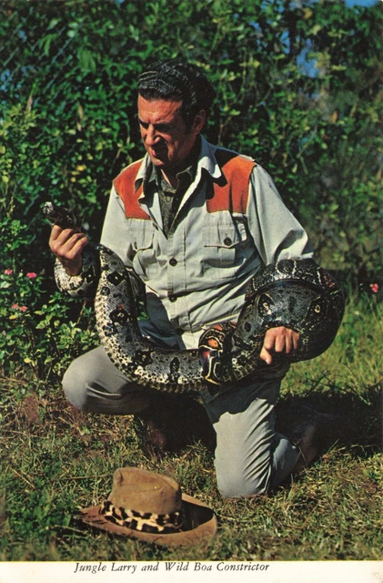 POSTCARD SNAKE BOA Constructor Jungle Larry & Safari Jane TV Shows ...