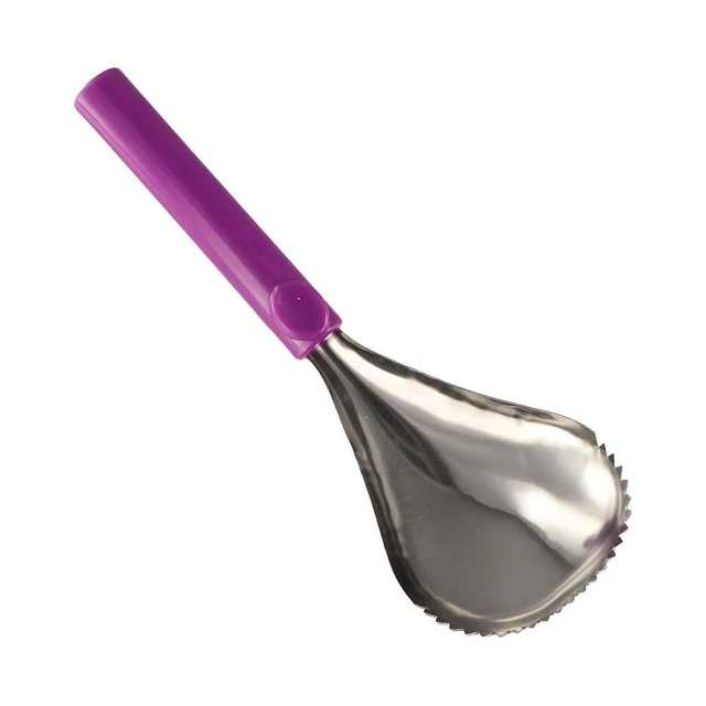 MANUAL PUMPKIN CORER Scoop Serrated Edge Ice Scraper Spoon Summer £6.19 ...