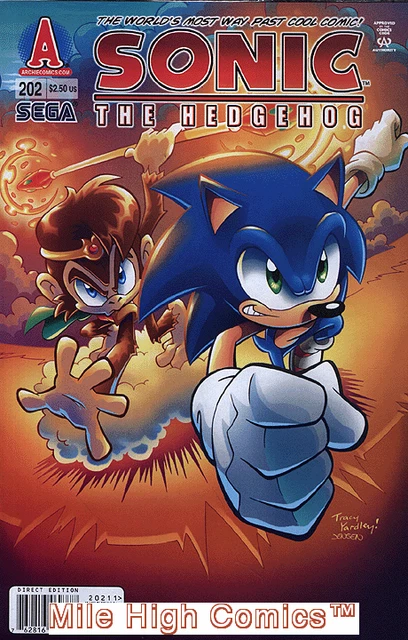 SONIC THE HEDGEHOG-THE SERIES (1993 Series) (ARCHIE) #28 Fine Comics ...
