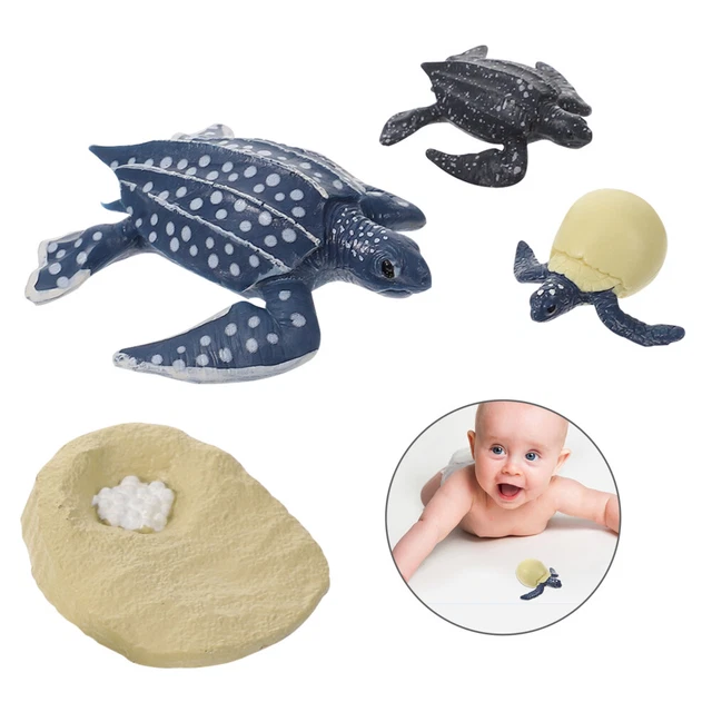 COGNITIVE MODEL OF Life Leatherback Turtle Models Realistic Animal £8. ...