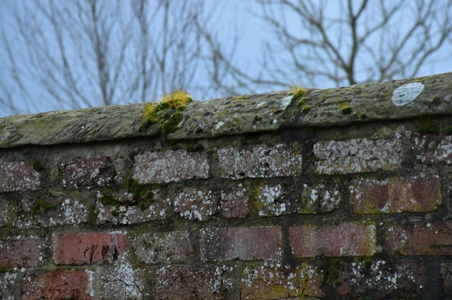 RECLAIMED YORKSTONE HOGS Back Wall Copings £20.00 - PicClick UK