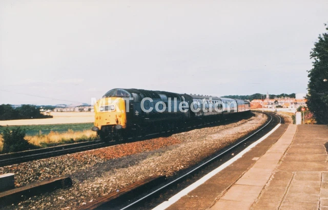 RAILWAY PHOTO CLASS 55 55022 @ Dunbar 15/8/81 09:10 Glasgow ...