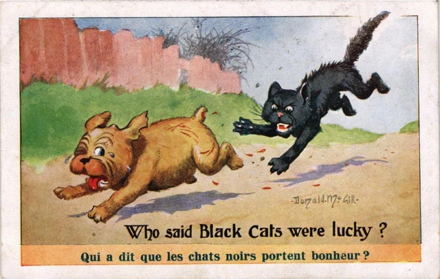 CPA AK WHO said Black Cats were lucky? DOGS (727625) EUR 6,99 - PicClick FR