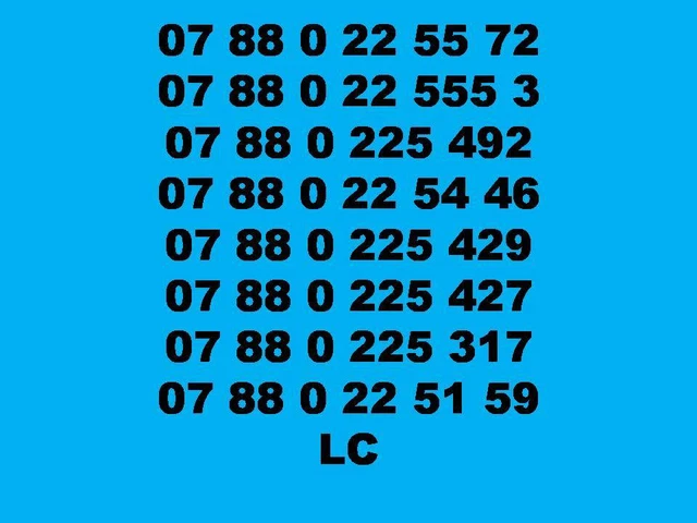 PREMIUM GOLD LEBARA VIP BUSINESS EASY MOBILE PHONE NUMBER SIM CARD 88 ...