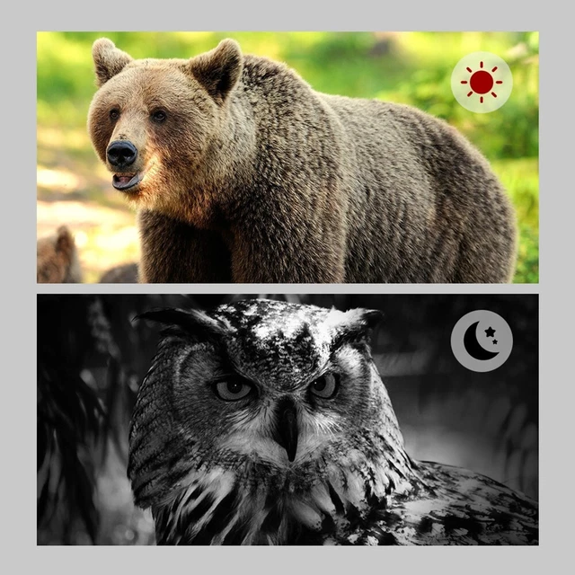 7° ANGOLO DI visione 50mm lunghezza focale effettiva e 300m funzione ...