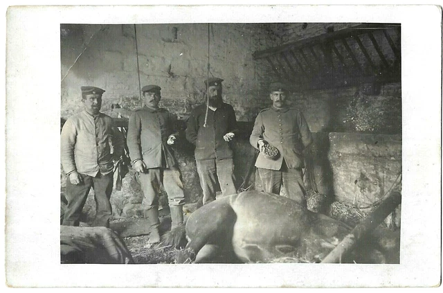 WW1 PHOTO POSTCARD German Soldiers Barn Cow Horse K.B.1 Reserve ...