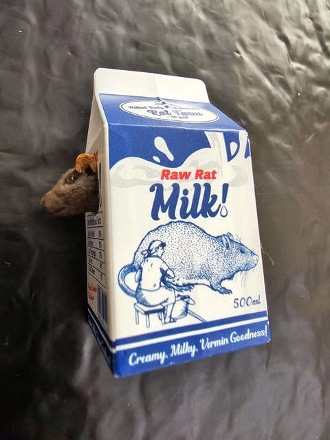 LOOK!! MEGA GROSS Mini Rat Milk £3.99 - PicClick UK