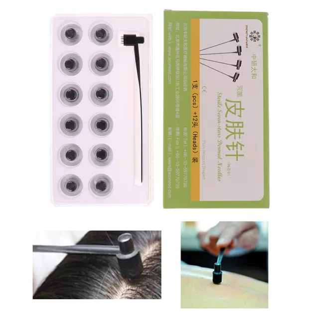 13HEAD DERMAL NEEDLE Bloodletting Blood Hammer Lancet Acupuncture ...