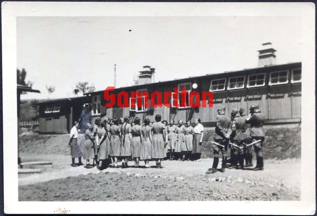 I7/31 WW2 ORIGINAL Photo Of German Wehrmacht Rad Labour Workers £6.99 ...