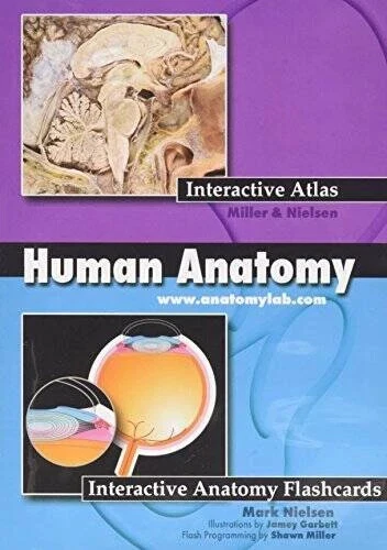 HUMAN ANATOMY ** Interactive Atlas/Anatomy Flash Cards On Cd-Rom ...