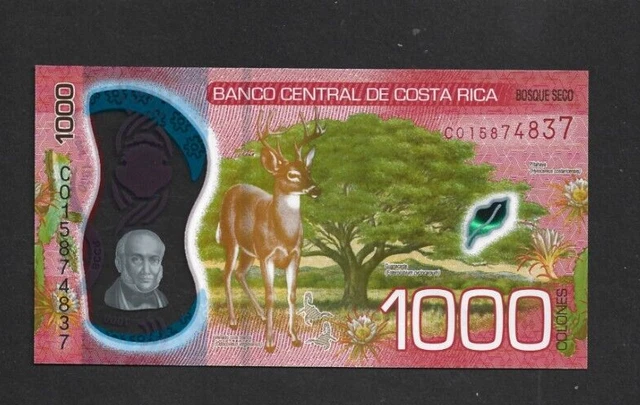 1000 COLONES Unc Polymer Banknote From Costa Rica 2019 Pick-280 £2.15 ...