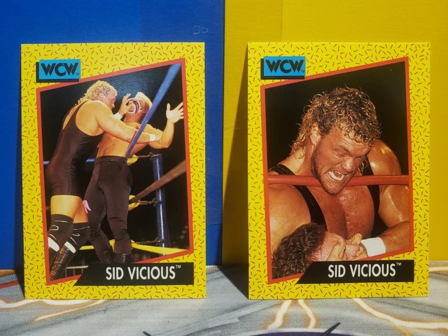 1991-92 WCW WORLD Championship Wrestling Trading Cards - Sid Vicious ...