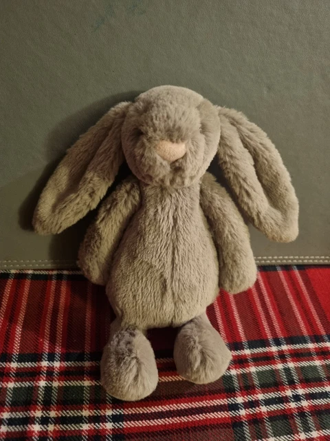 JELLYCAT SMALL FERN Bunny Retired Rare £47.50 - PicClick UK