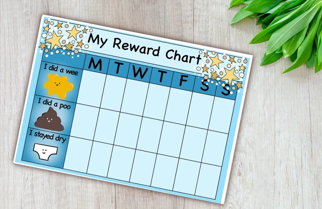HANDMADE A4 REWARD Chart, POTTY TRAINING, reusable, Laminated, wipe ...