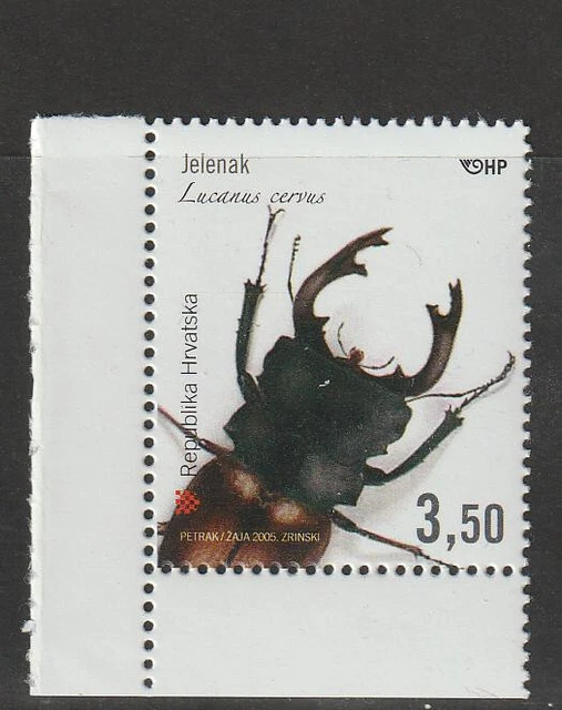 KROATIEN TIERE INSEKTEN Hirschkäfer Jelenak Lucanus Cervus Aus Mh ...
