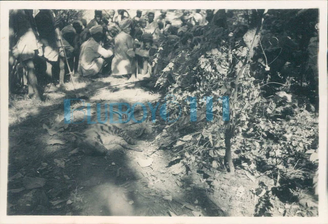 1939 BRITISH ARMY officers Hunting Trip Poona WW2 Colonial India ...