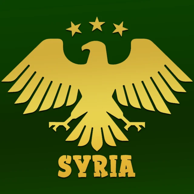 1X SYRIEN ADLER Logo Auto Aufkleber Car sticker Syria 30x25cm شعار ...
