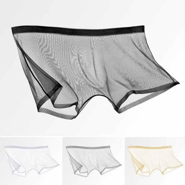 SEXY MENS BRIEFS See Through Sheer Boxer Mesh Underwear Shorts Trunks ...