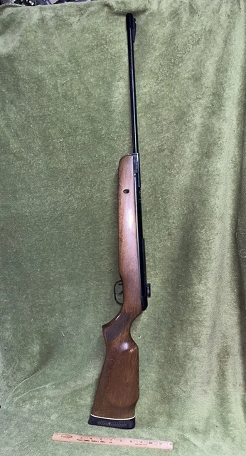 GAMO 440 HUNTER? .177 Caliber Pellet Air Gun Rifle-Working, 1000 feet ...