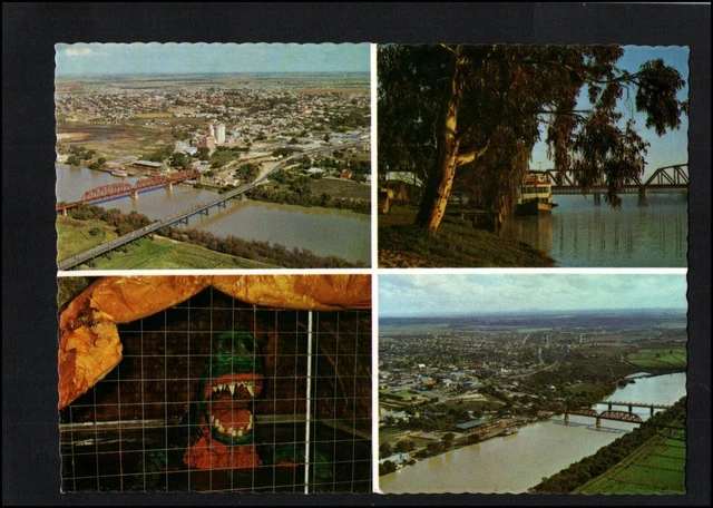 A3621 AUSTRALIA SA River Murray Bridge Bunyip postcard $7.20 - PicClick AU