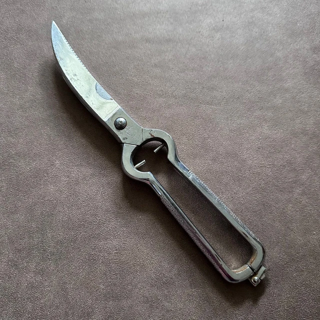 VINTAGE 10& ANGESA Made In Italy Kitchen Snips Pultry Scissors Chicken ...