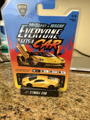 MR BEAST X Mschf Everyone Gets A Car Yellow Lambo Xs Lamborghini Model ...