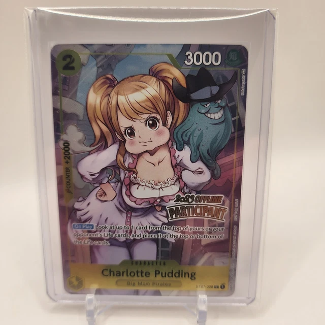 CHARLOTTE PUDDING OFFLINE Regional 2023 Participant ST07-008 One Piece ...