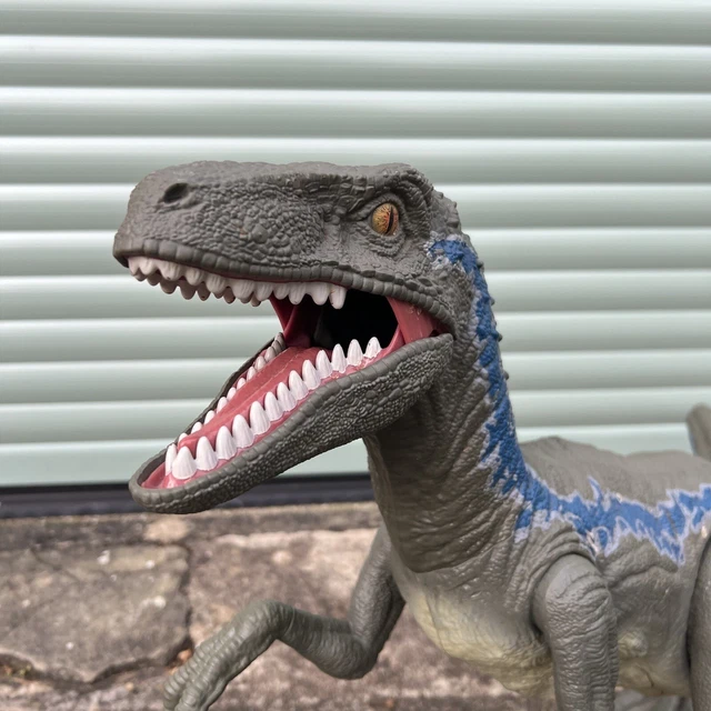 JURASSIC WORLD DINOSAUR Super Colossal Velociraptor Blue Figure Mattel ...